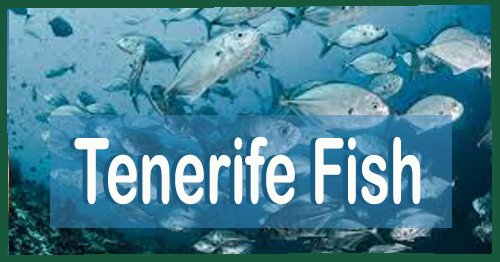 Tenerife Fish